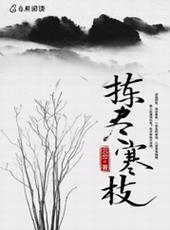 枕边（骨科、SC、1V1、HE、）最新章节免费阅读_无弹窗全文在线阅读_当书网